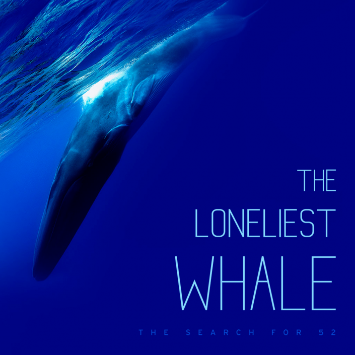 LONELIEST WHALE – SMITH RAFAEL FILM CENTER
