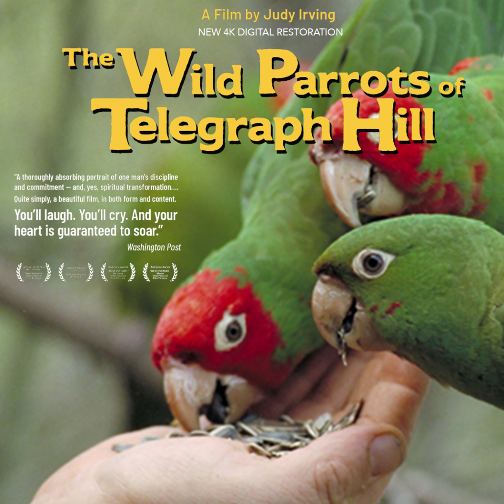 SMITH RAFAEL FILM CENTER